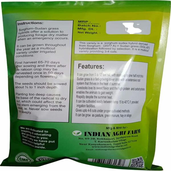 Sorghum Sudan Grass Multi Cut Fodder Seeds Pack of 1 Kg - JioMart