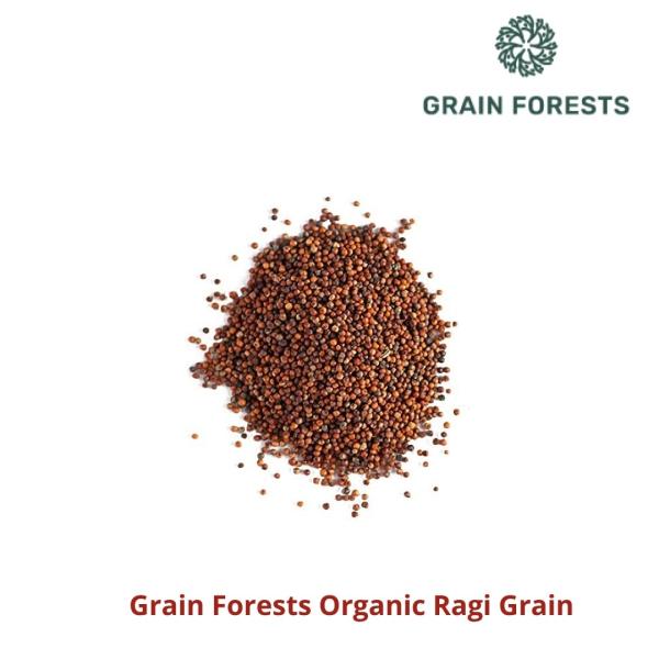 Grain Forests Organic Ragi Whole Grain 500g (Finger Millet) - JioMart