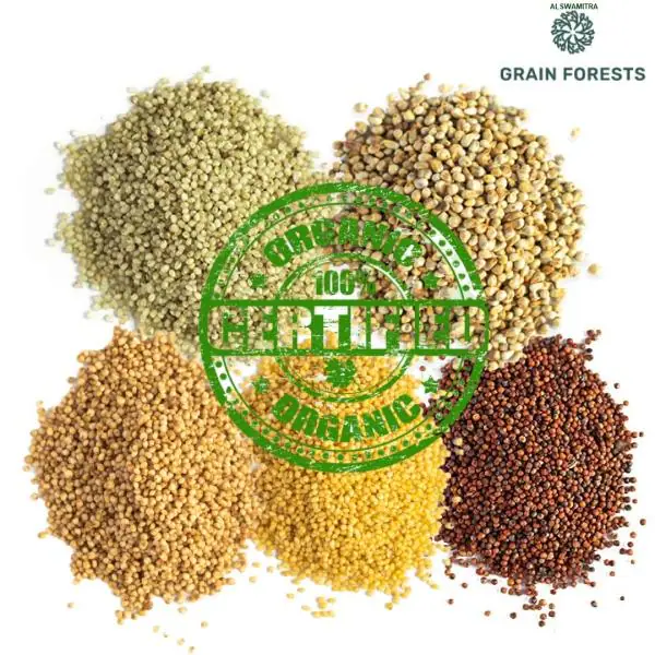 Grain Forests Organic Ragi Whole Grain 500g (Finger Millet) - JioMart