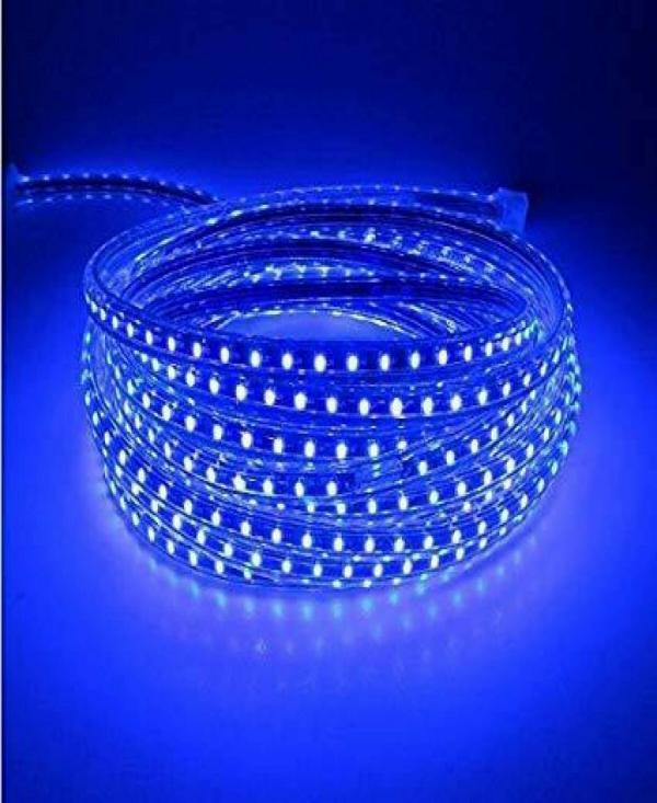 Astern Blue Rice Lights 1200 LED/10inch - JioMart