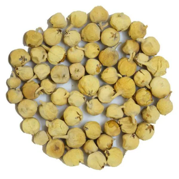 NatureVit Paneer Phool 1 kg| Paneer Doda| Withania Coagulans - JioMart