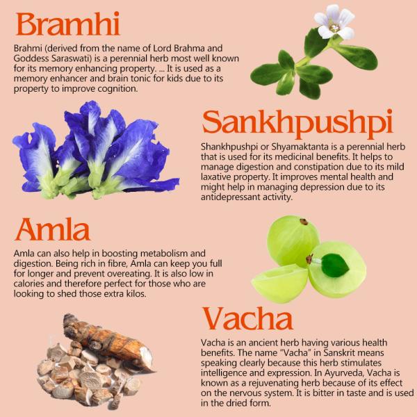 SBS Super Mind Syrup - Boost Memory Power, Learning Ability, With Pure ...