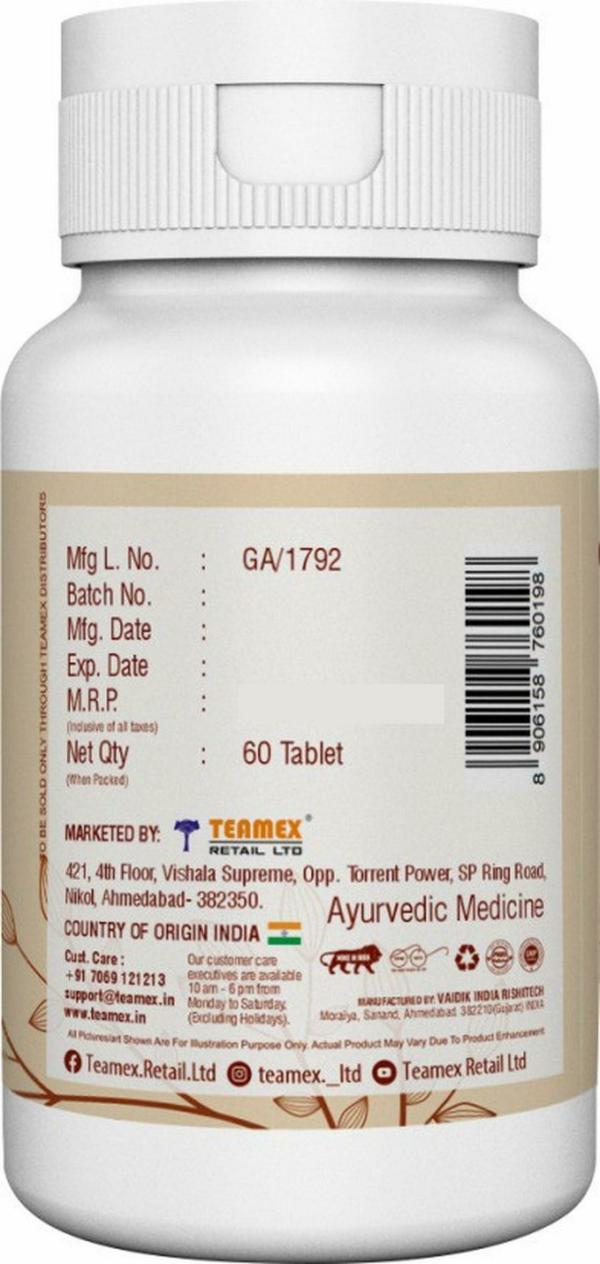 TEAMEX Guduchi Ghan Tablet, 60 Tablets / Natural Herbal Medicine Fever ...
