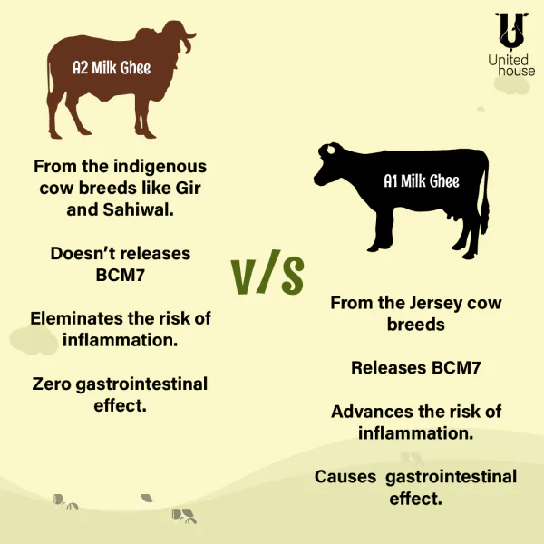 Khari Foods Organic A2 Desi Cow Ghee 500ml, Pure, Natural & Healthy ...