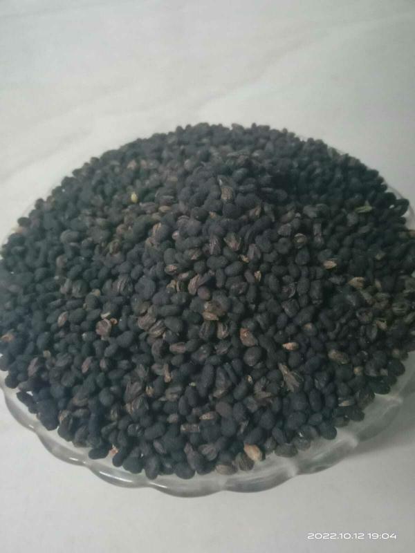 Uzhavan Unavu - Karboga Rice Arisi (Saammangi Seeds) - 100 Gms. - JioMart