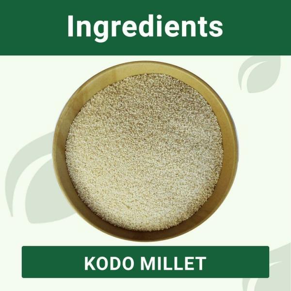 B&B Organics Kodo Millet (10 kg) (Whole Grain) (Varagu / Arikelu ...