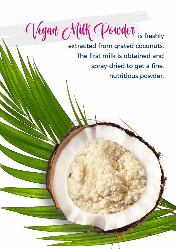 Vegan Milk Powder | Dairy & Lactose Free | Plant Based Milk | 1 Kg ...