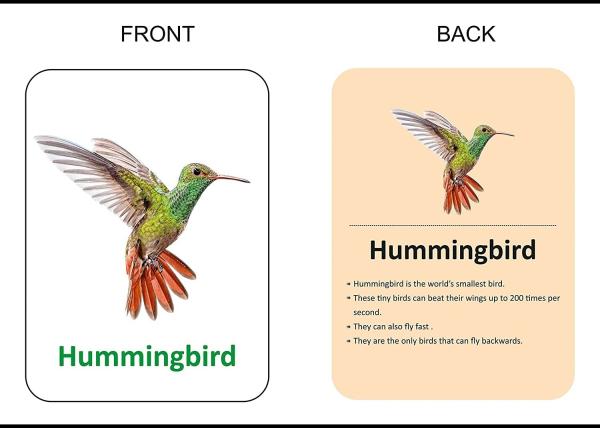 Gurukanth Storio Flash Cards for Kids Learning Flash Cards 1 Year to 6 ...