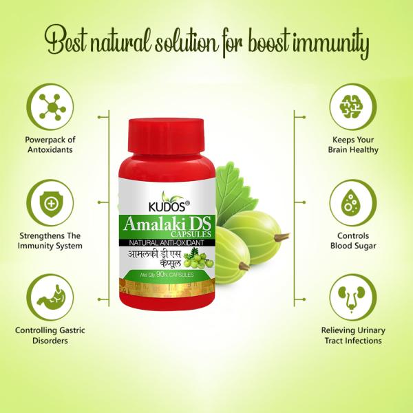 Kudos Ayurveda Amalki DS Capsules | Rich source Of Natural Vitamin c ...