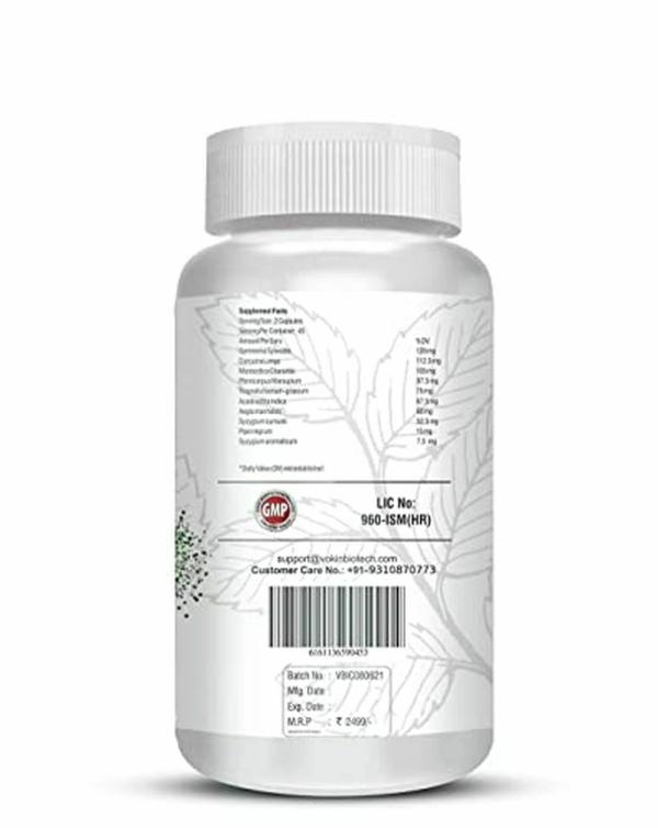 Vokin Biotech Herbal Insulux For Endocrine Health & Diabetes Control ...