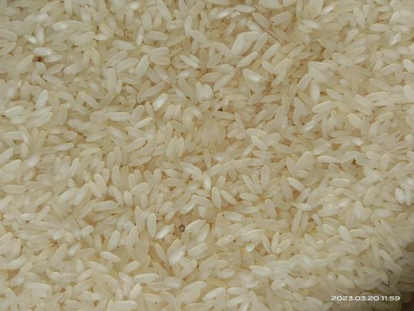 Uzhavan Unavu - Organic Traditional White Rice 1 year old - Thuyamalli ...