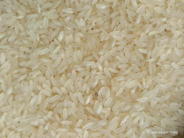 Uzhavan Unavu - Organic Traditional White Rice 1 year old - Thuyamalli ...