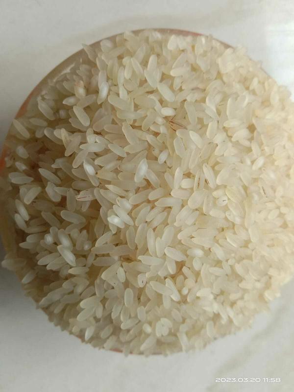 Uzhavan Unavu - Organic Traditional White Rice 1 year old - Thuyamalli ...