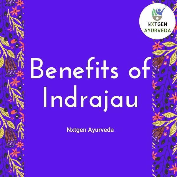 Nxtgen Ayurveda Indrajav Seeds for Diabetes 100 g - JioMart