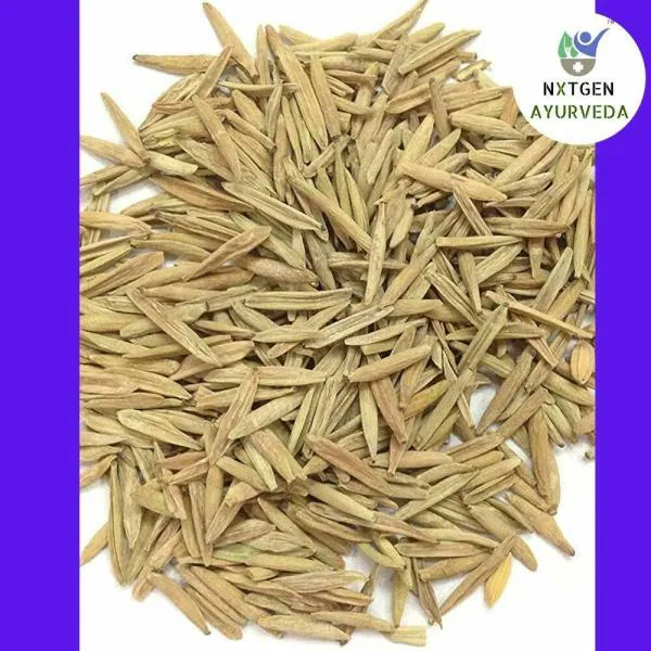 Nxtgen Ayurveda Indrajav Seeds for Diabetes 100 g - JioMart