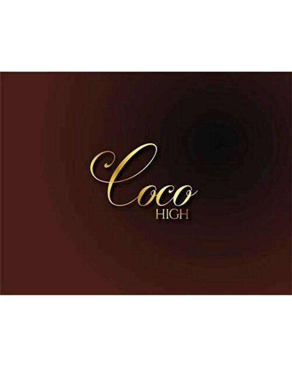 COCO HIGH Dark Chocolate Drink, 200 Ml x 12 Cans, Chocolate Milk Shake ...