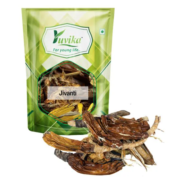 YUVIKA Jivanti - Jiwanti - Jivanthi - Leptadenia Reticulata ...