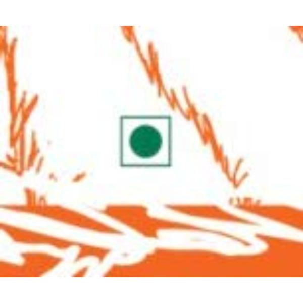 Savastha Ponni Raw Rice, Pachai Arisi, Naturally Grown Single Origin ...