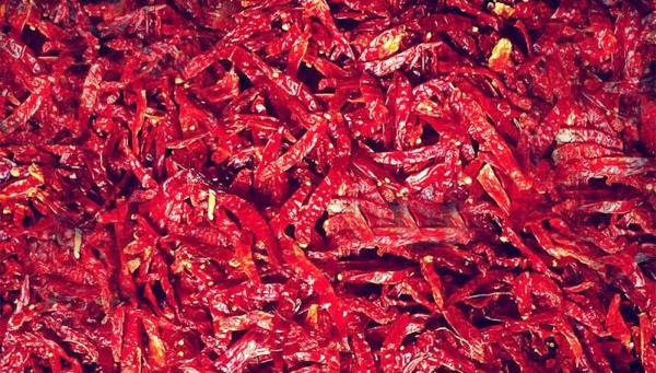 Marwar Mathania Mirch Red Chilli Whole & Dry (Sukhi Lal Mirchi Sabut ...