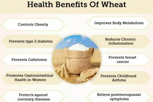 FOLS PREMIUM WHEAT FLOUR | GEHU KA AATA | 4 KG - JioMart