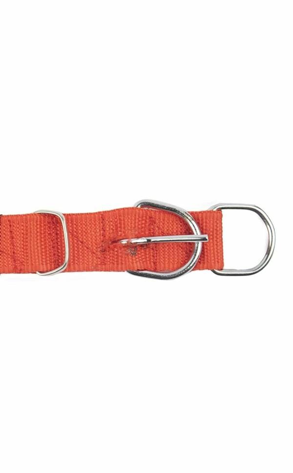 FURRY TAILS Dog Neck Collar Belts and Leash Set, Adjustable Free Neck ...