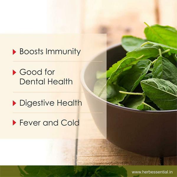 Herb Essential Tulsi ( Holy Basil ) 500 mg Tablet - 60 Tablets - JioMart