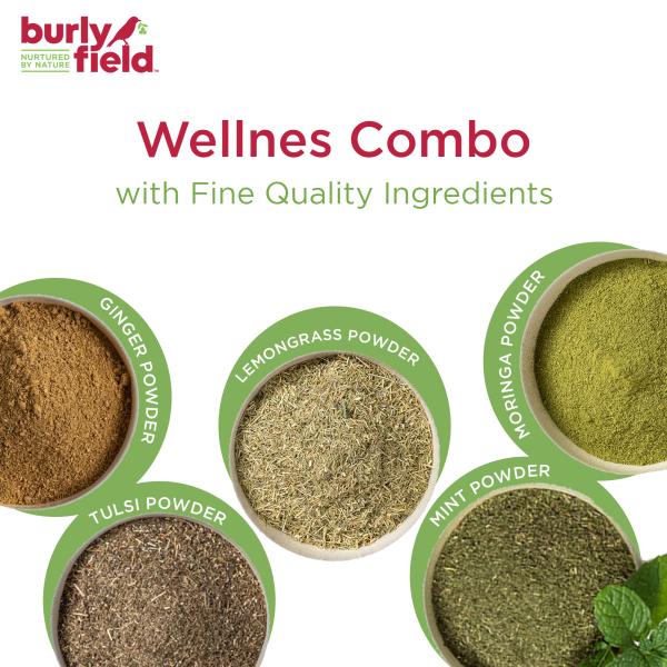 BURLY FIELD 100% Natural Wellness Combo| Ginger + Tulsi +Lemongrass ...