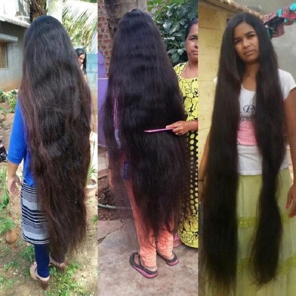 ADIVASI LAKSHMI HERBAL HAIR OIL 100ML - JioMart