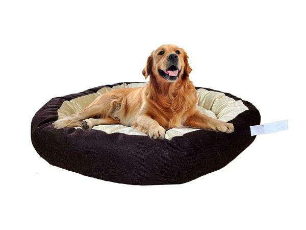 Poofy's Pet Island Polyester, Velvet Purple Sofa Style Dog And Cat Bed ...