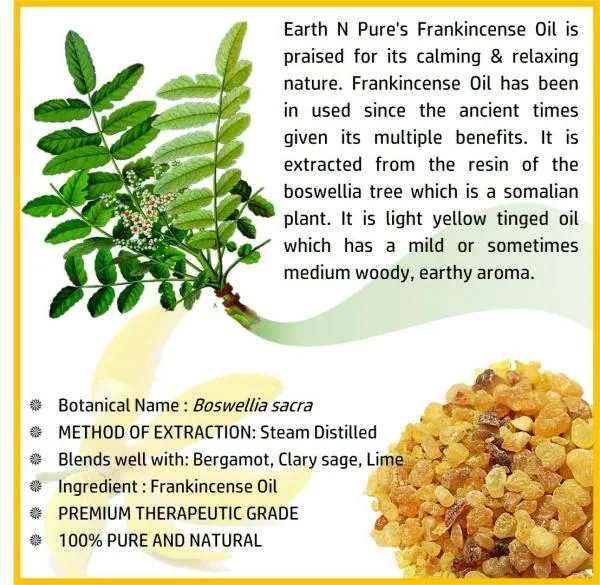 Earth N Pure Frankincense Essential Oil (Loban Oil) 100% Pure ...
