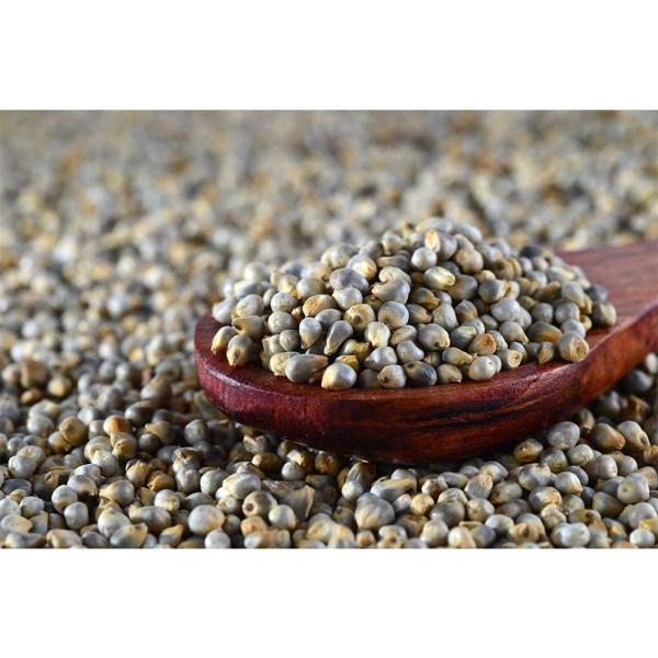 Farmbean Millets Combo Pack of 2 | White Jowar 1Kg, Bajra 1Kg | Natural ...