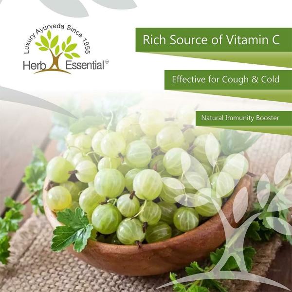 Herb Essential Amla Powder 100 g (Pack of 2) - JioMart