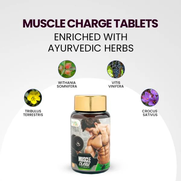Nature Sure Muscle Charge Tablets for Men - 1 Pack (60 Tablets) - JioMart