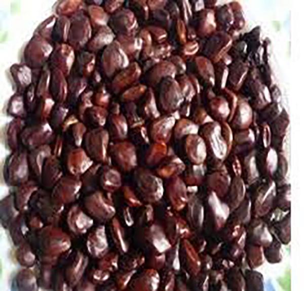 MGBN THE PATH FOR THE HEALTHIER LIFE WITH BEAUTY Imli - Tamarind Seed ...