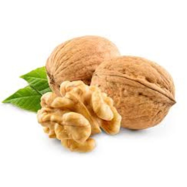 Notlih Walnut Without Shell Quarter Kernels | Kashmiri Quarter Akhrot Giri | Walnut Kernels ...