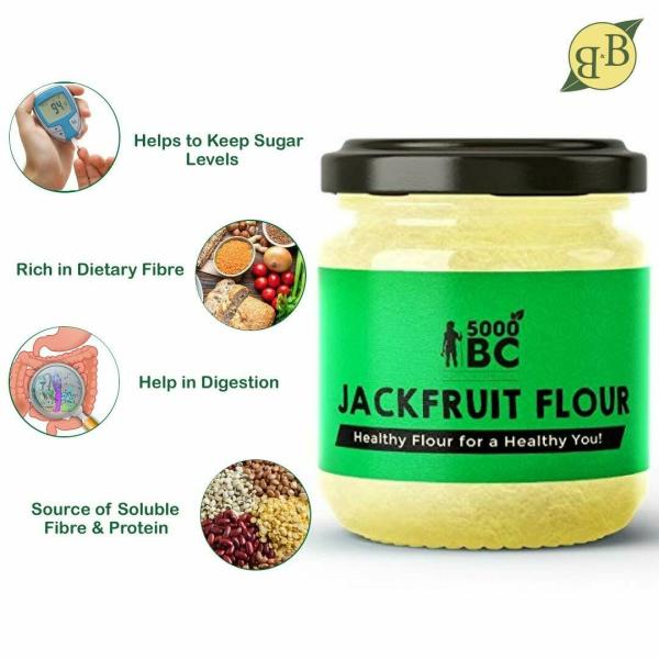 B&B Panruti Green Jackfruit Flour (200 g) - JioMart