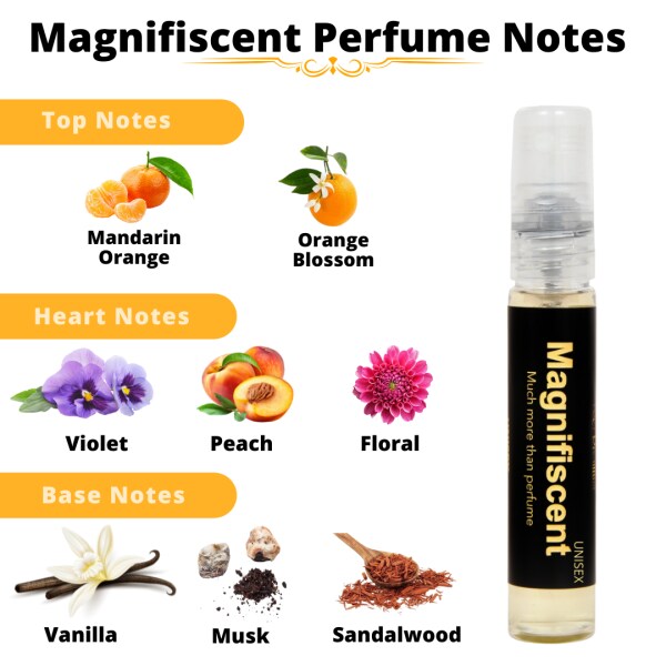 Europa Products ATTRACTO & MAGNIFISCENT Pocket Perfume Sprays for Men ...