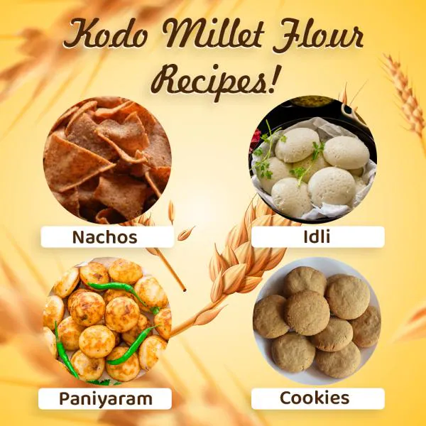 B&B Organics Kodo Millet Flour / Varagu Maavu / Kodra Atta (1 kg) - JioMart