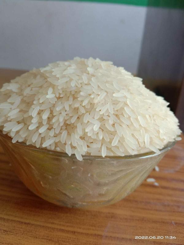 Uzhavan Unavu - Organic Traditional Kichilli Samba Rice (Common name as ...