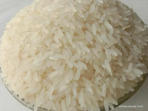 Uzhavan Unavu - Organic Traditional Kichilli Samba Rice (Common name as ...