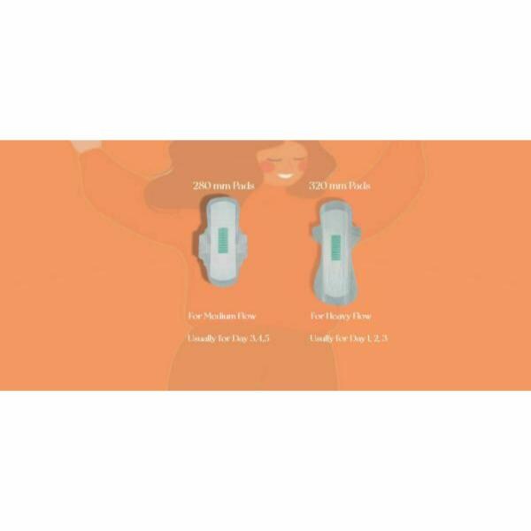 Nucleya Retail Anion chip Sanitary Pads XXL+ (Pack of 50-320 mm) Whole ...