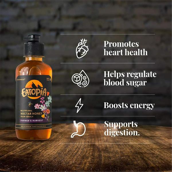 Eatopia Honey In An Easy To Use Squeezy - 500 Gm - JioMart