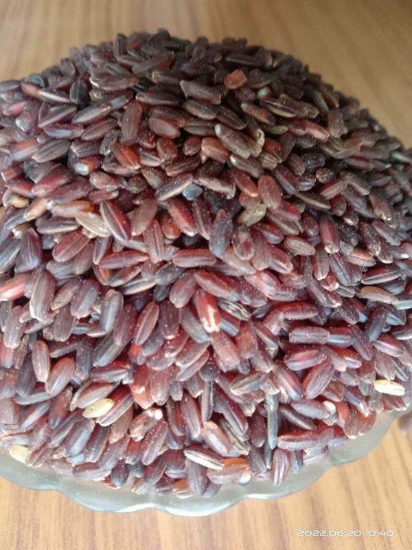 Uzhavan Unavu - Organic Traditional Madu Mulungi Rice (Common name as ...