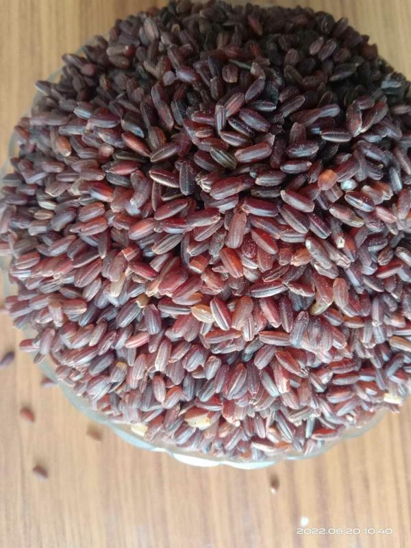 Uzhavan Unavu - Organic Traditional Madu Mulungi Rice (Common name as ...