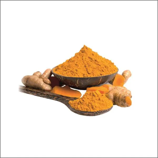 Bhumi Organic Selam High Curcumin Content Turmeric Haldi Powder - 1 Kg ...