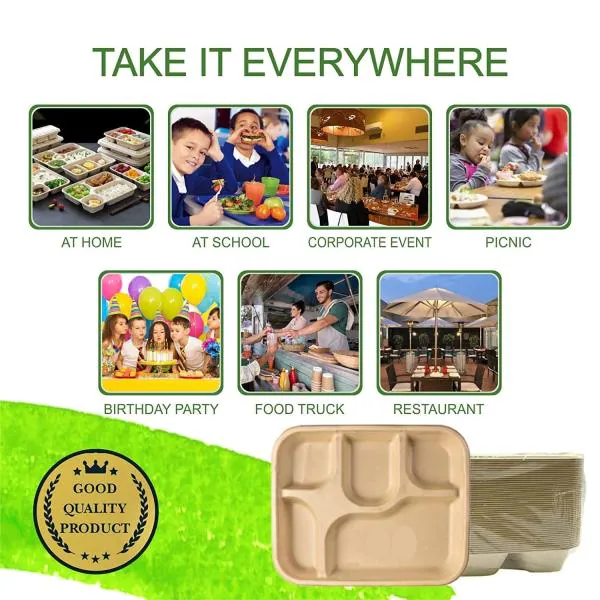 Vinishq 5 Compartment Biodegradable Eco-Friendly Dinner Plate ...