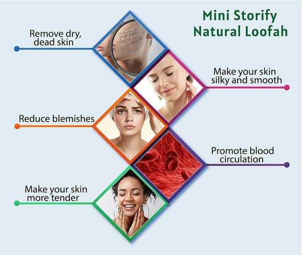 Mini Storify Truly Organic Natural Oval Loufah or Loofah Pad Sponge Body Scrubber for Bathing ...