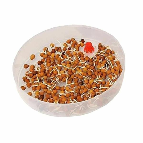 Sprout Maker Plastic Sprout Maker with Container - 3 Container - JioMart