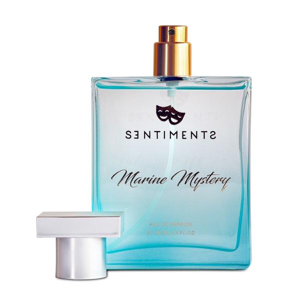 Sentiments - Marine Mistry - Unisex perfume 100ml - JioMart
