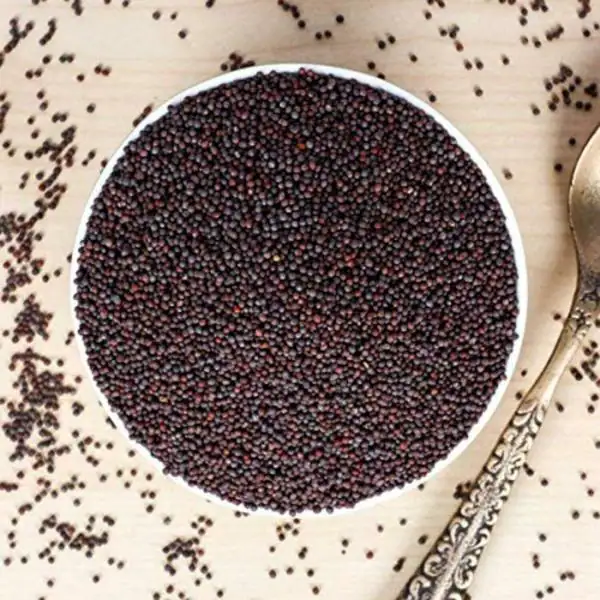 OREE Natural Black Mustard Seed | Rai | Sarso | Whole Mustard ...